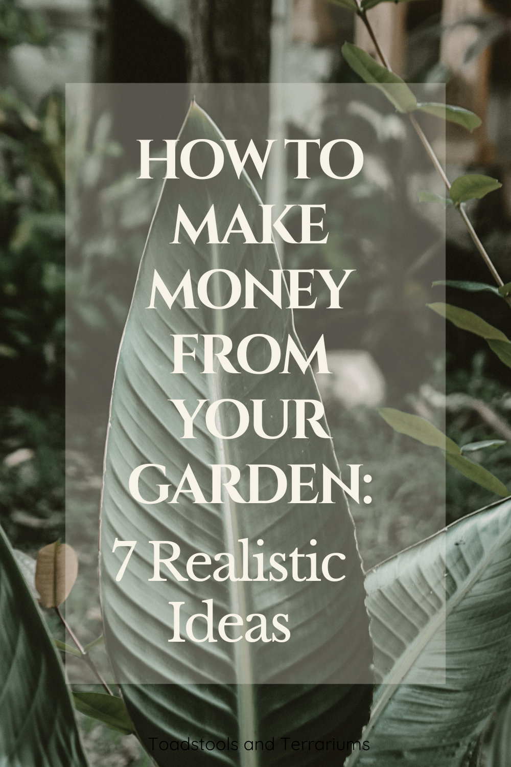 How to Make Money From Your Garden (Even a Small One) – Toadstools And ...